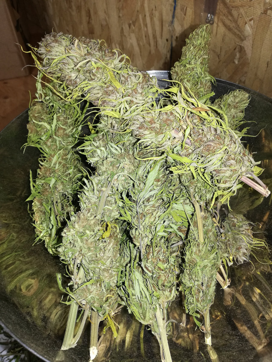 Certified Organic Hemp Flower